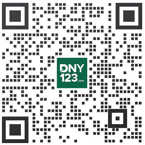 DNY123荣膺三大平台最佳合作伙伴- DNY123跨境导航