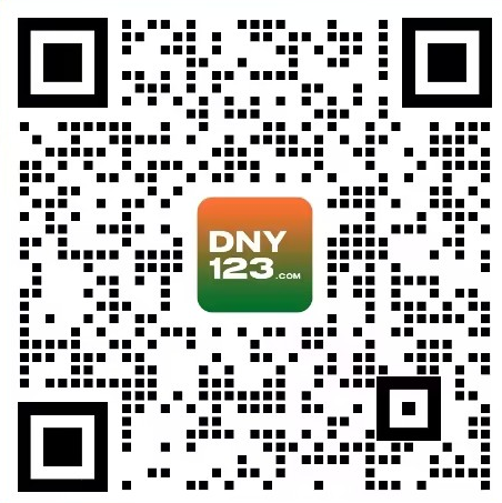 Pyvio - 东南亚电商跨境支付新选择，一站式全球账户助力收付自由-DNY123跨境导航