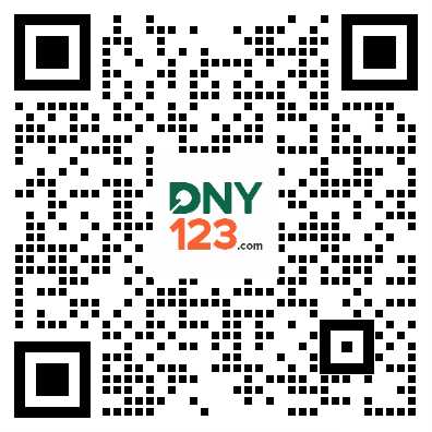 DNY123荣膺三大平台最佳合作伙伴- DNY123跨境导航