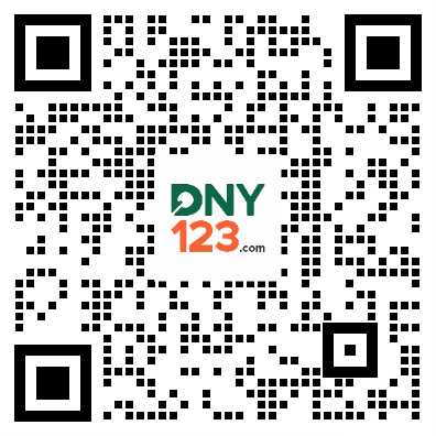 DNY123荣膺三大平台最佳合作伙伴- DNY123跨境导航