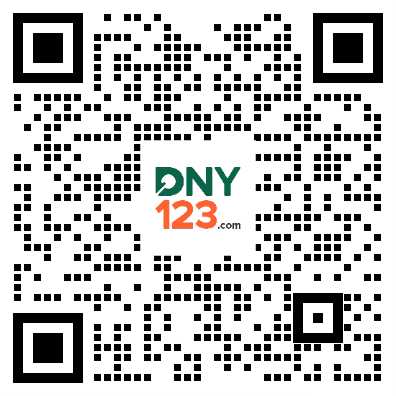 DNY123荣膺三大平台最佳合作伙伴- DNY123跨境导航
